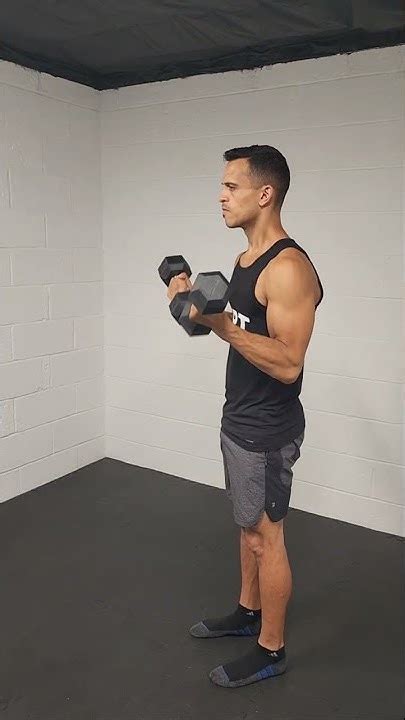 Full Range Bicep Curls Dumbbells Youtube