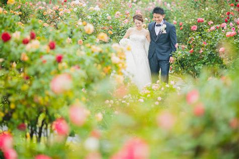 Rose Garden Chiba La Vie Photography