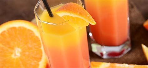 Najlepsze Przepisy Na Drinki Idealne Na Każdą Imprezę Huta Julia