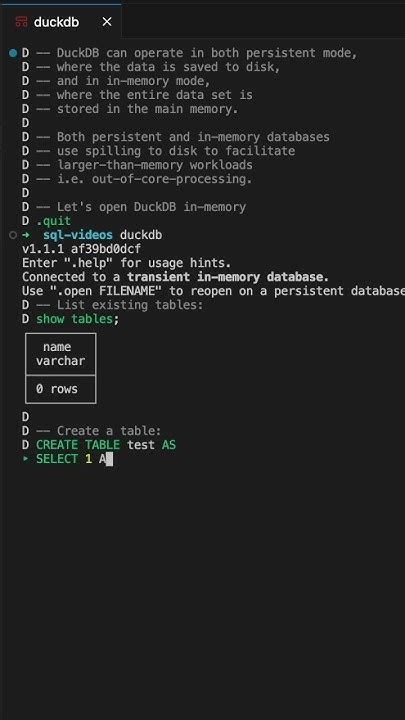 Connect To An In Memory Duckdb Database Youtube