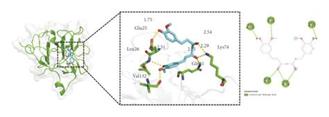 A Heat Map Of Molecular Docking The Redder The Area The Lower The
