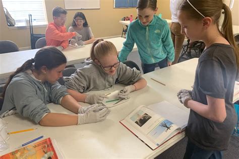 The Cordova Tutorial