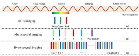 Understand The Difference Between Rgb And Multispectral Hiphen