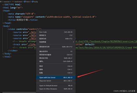 浏览器对html5中track标签中src属性路径vtt文件错误，unsafe attempt to load url vtt csdn博客