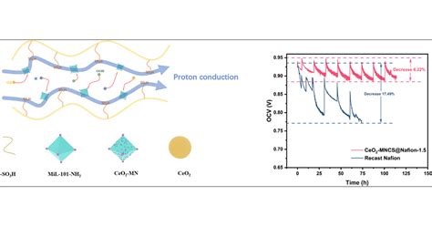 Synergistic Utilization Of A Ceo2 Anchored Bifunctionalized Metal