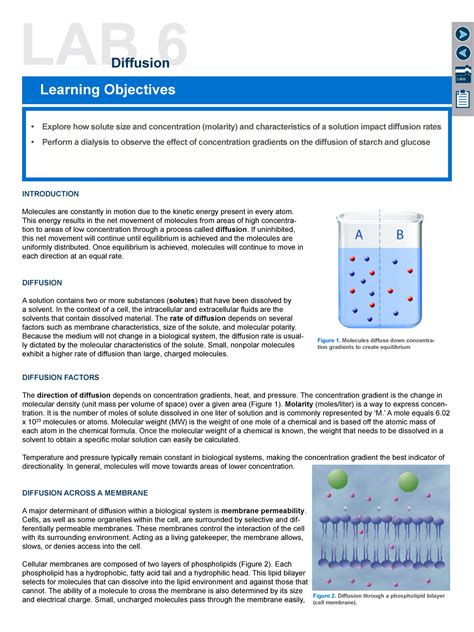 Diffusion Introduction Lab 6diffusion Introduction