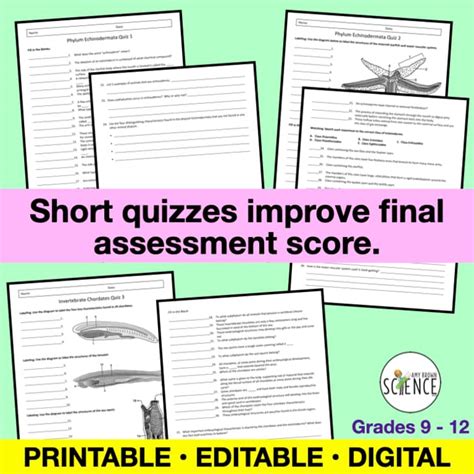 Echinoderms And The Invertebrate Chordates Quiz Set Phylum Echinodermata