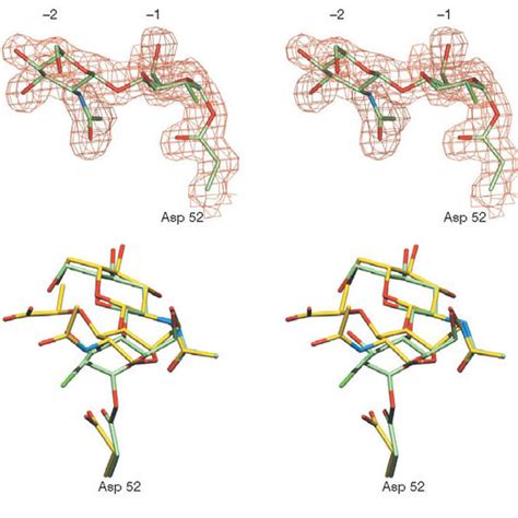 Secondary Structure Analysis Of Lysozyme Download Table