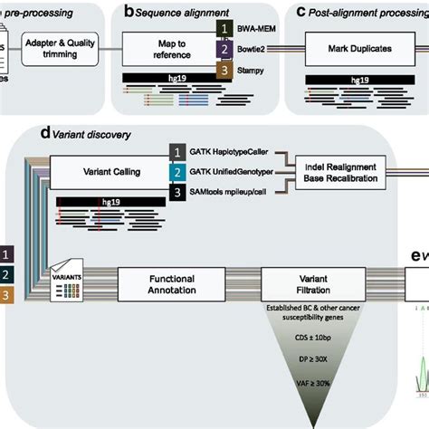 Data Pre Processing Sequence Alignment Post Alignment Processing
