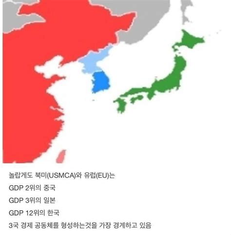 서양애들이 단단히 오해하고 있는 동아시아 동아시아 재미있는 것들