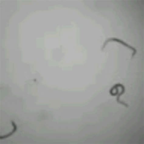 Cuál Es La Planta Que Te Ayuda A Relajar Calma Los Nervios Y Quita El Insomnio Infobae