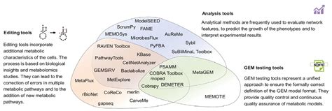 揭秘微生物社区的“社交网络”：基因组规模代谢模型 Gems 的新前沿 哔哩哔哩