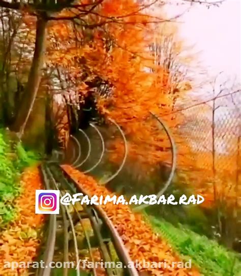 تولدت مبارک مادرمروز جهانی مادر