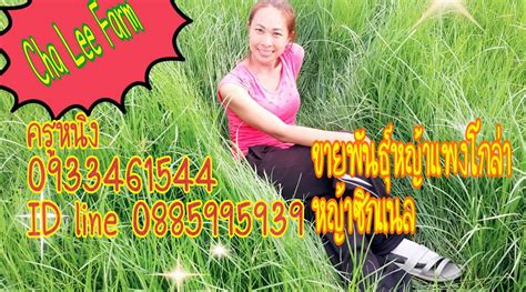 ฟรี ไฟล์ Excel สำหรับควบคุมการเบิกจ่ายเงินตามโครงการต่างๆ สำหรับงานนโยบายและแผน Download
