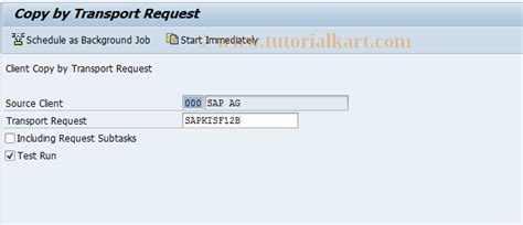 FOD0 SAP Tcode Copy Customizing Cross IS Transaction Code