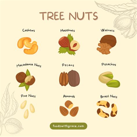 Peanuts Vs Tree Nuts What Is The Difference Foods With Grace