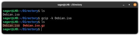How To Use The Gzip Command In Linux