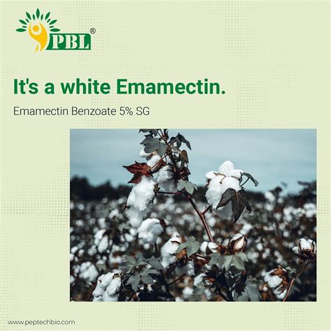 Shubham Ojha Posted On Linkedin