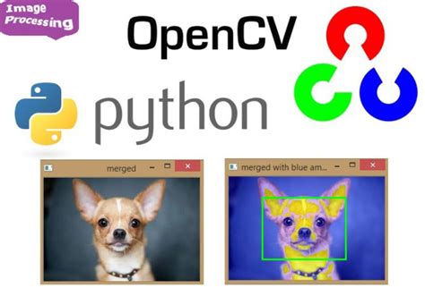 Do Classification Image Processing In Opencv Computer Vision And Deep