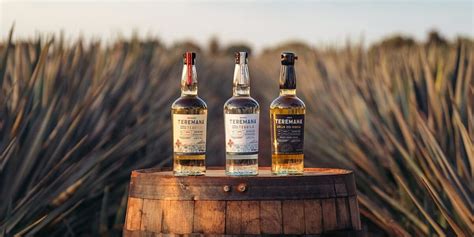 Llega A España Teremana La Marca De Tequila Premium De Dwayne Johnson