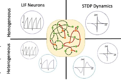 Table 1 From Heterogeneous Neuronal And Synaptic Dynamics For Spike Efficient Unsupervised