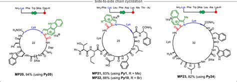 Synthesis Of Membrane Permeable Macrocyclic Peptides Via Imidazopyridinium Grafting Pmc