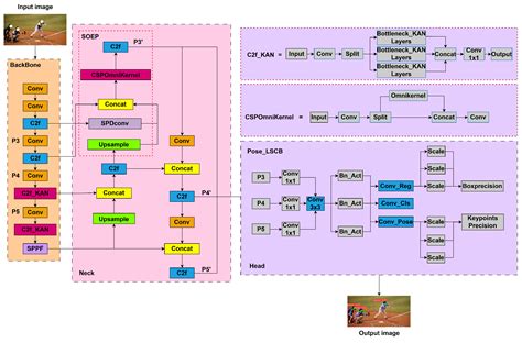 Ksl Pose A Real Time 2d Human Pose Estimation Method Based On Modified Yolov8 Pose Framework