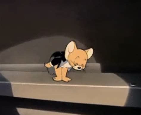 Sunja님의 소개 인프런