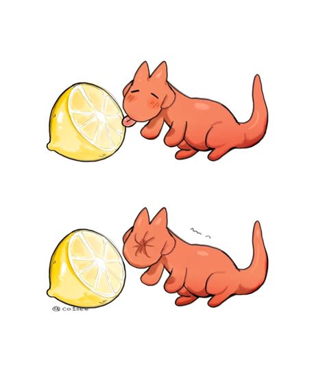 Dragon Dungeon Meshi Drawn By Co1fee Danbooru