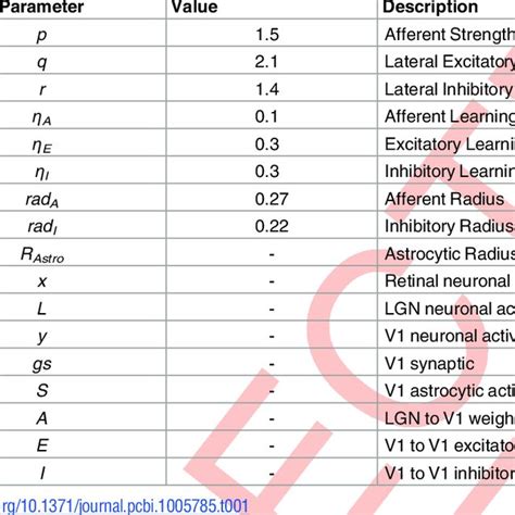 Development Of The Neuronal V1 Orientation Preference Map With The