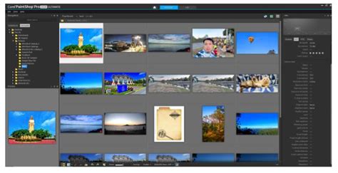 KB Corel PaintShop Pro How To Enable Thumbnail Information Under Manage Tab