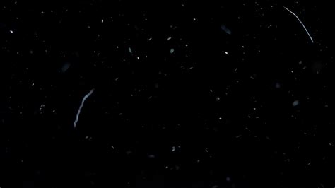 Huge Dust Particles Overlay Hd Free Stock Video Footage In 2023