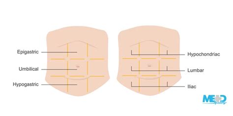 Transumbilical Plane