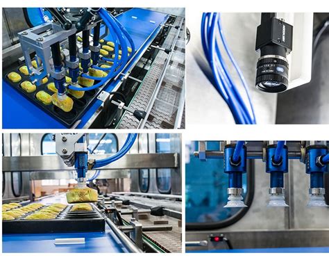 4 Axis Robot Delta Arm For Loading Pick And Place Delta Robot Manufacturer