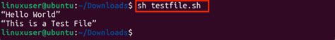 How To Run A Bash Script In Ubuntu 2204 Linuxways