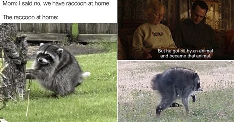 Memebase Funny Memes All Your Memes In Our Base Funny Memes