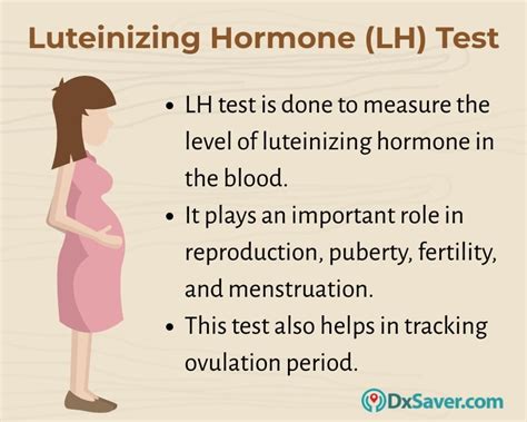 Luteinizing Hormone LH Test Cost At 40 Order Online Get Tested
