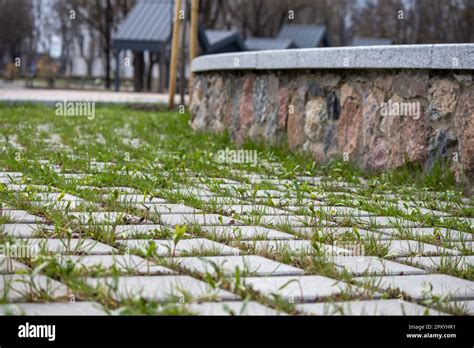 A Brick Walkway With Grass Growing In Between It And A Stone Wall Stock