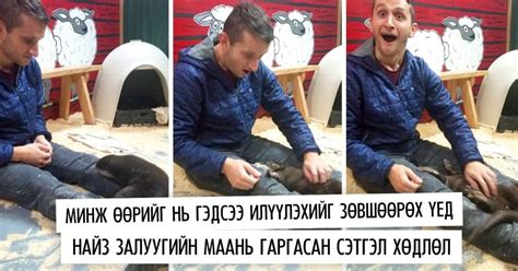 Таны нүүрэнд өөрийн эрхгүй инээмсэглэл тодруулах 19 гэрэл зураг Эдгээрийг үзсэндээ та хэзээ ч