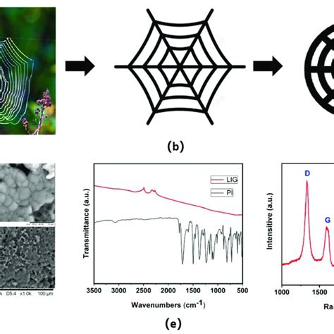 A Natural Spider Web B Spider Web Planar Structure C Improved