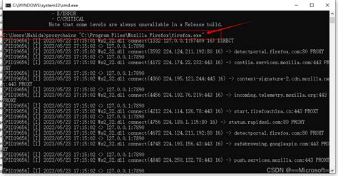 windows和kali上使用proxychains代理流量 proxychains windows csdn博客