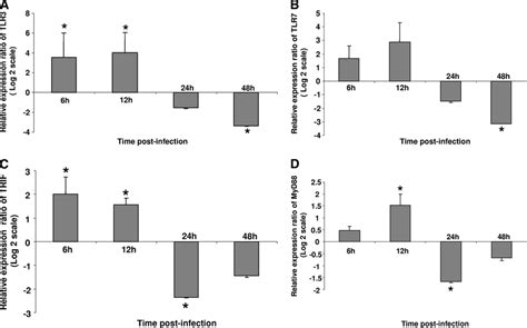Relative Expression Ratio Of Tlrs And Tlr Adaptors In Infected And Download Scientific Diagram