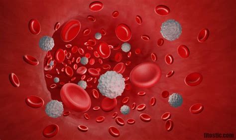 Quel Taux De Leucocytes Est Inquiétant Dans Les Urines