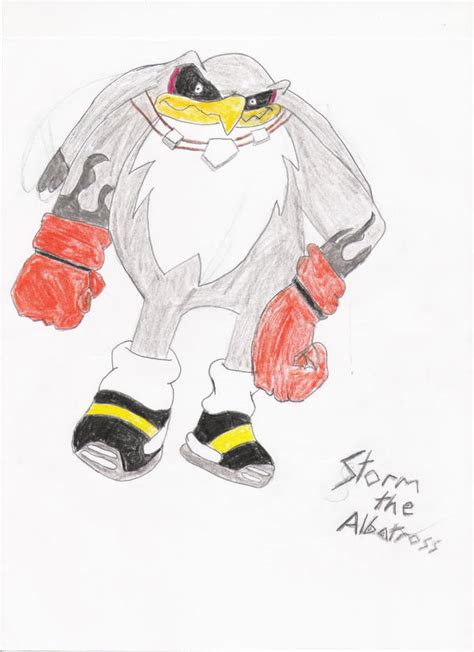 Storm The Albatross By Soniccharacterdrawer On Deviantart