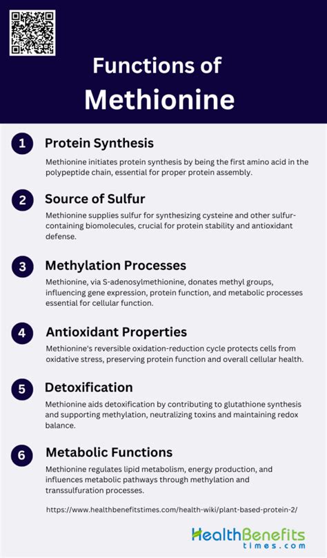 Methionine Uses Food Sources And Side Effects Health Benefits