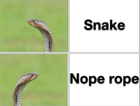Drake Snake Rmemes