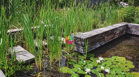 Лесни идеи за градината Наръчни за начинаещи Интериорни дизайнери