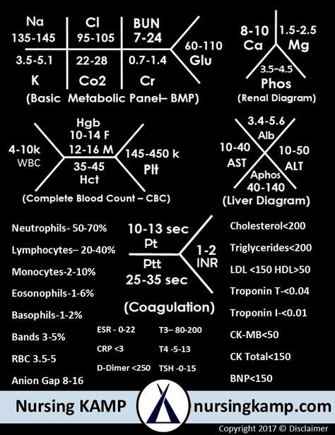 Lab Abbreviations Diagram