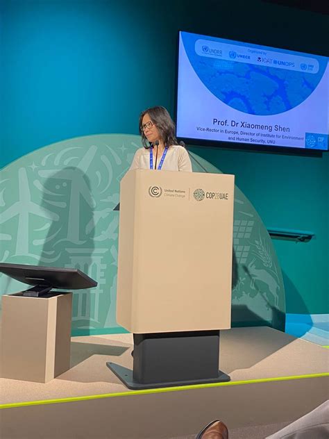 Today Xiaomeng Shen Director Of The United Nations University Institute For Environment And