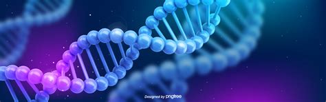 The Unique Dna Of Entrepreneurs Unraveling The Traits And Soft Skills